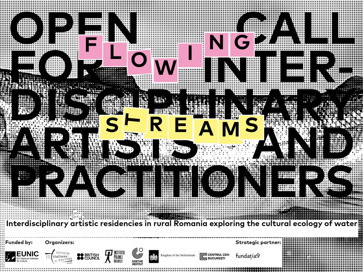 OPEN CALL FLOWING STREAMS - EUNIC Romania